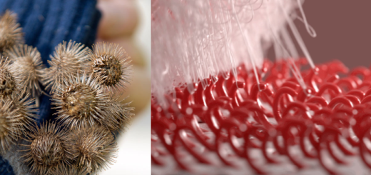 Birds, bullet trains and biomimicry – theGIST