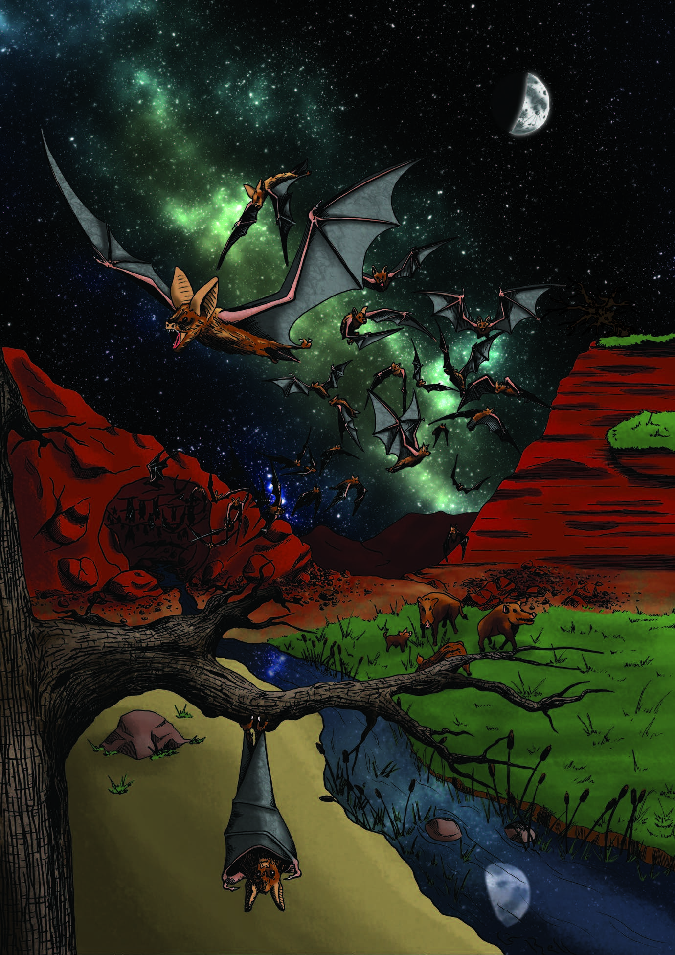 Bat immunity takes flight • theGIST