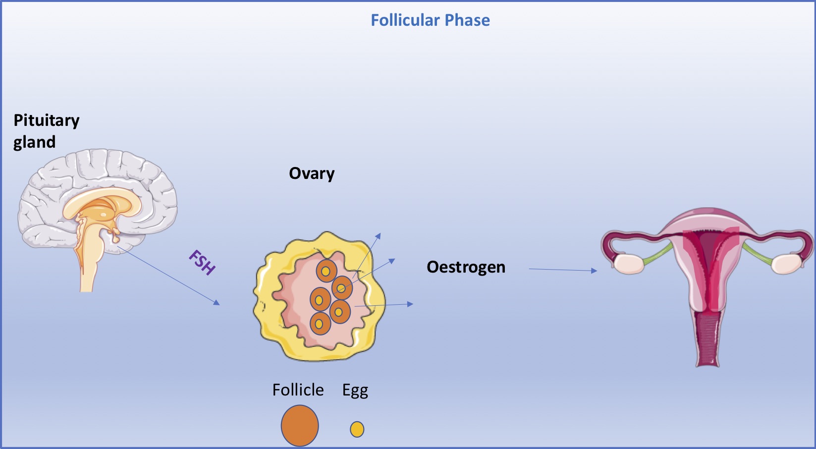 Why YOU need to know about periods – theGIST
