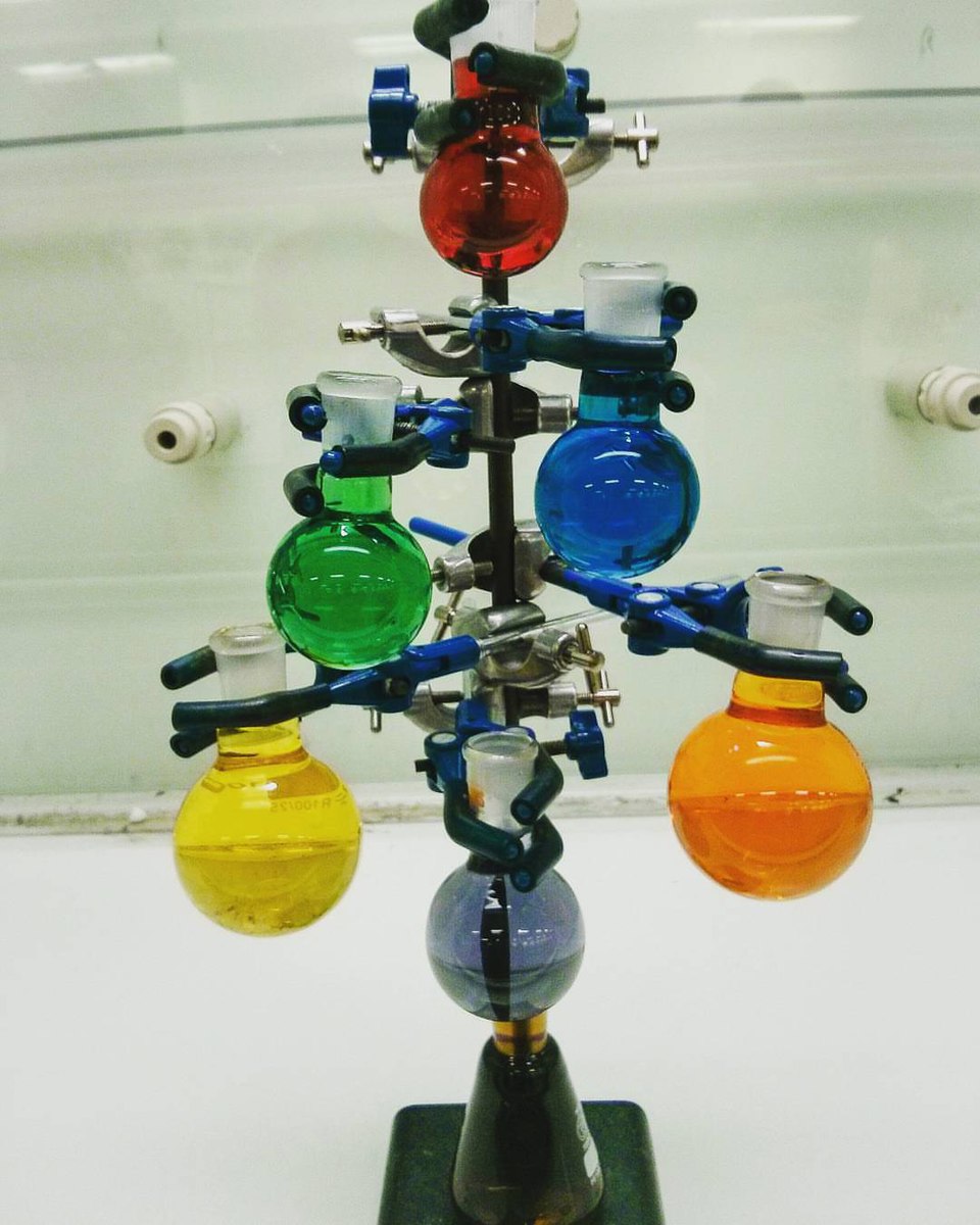 Unwrapping the wonders: the science behind Christmas magic • theGIST